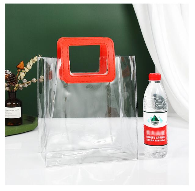 Cute Large Transparent Gift Bag – pinkpops.pk