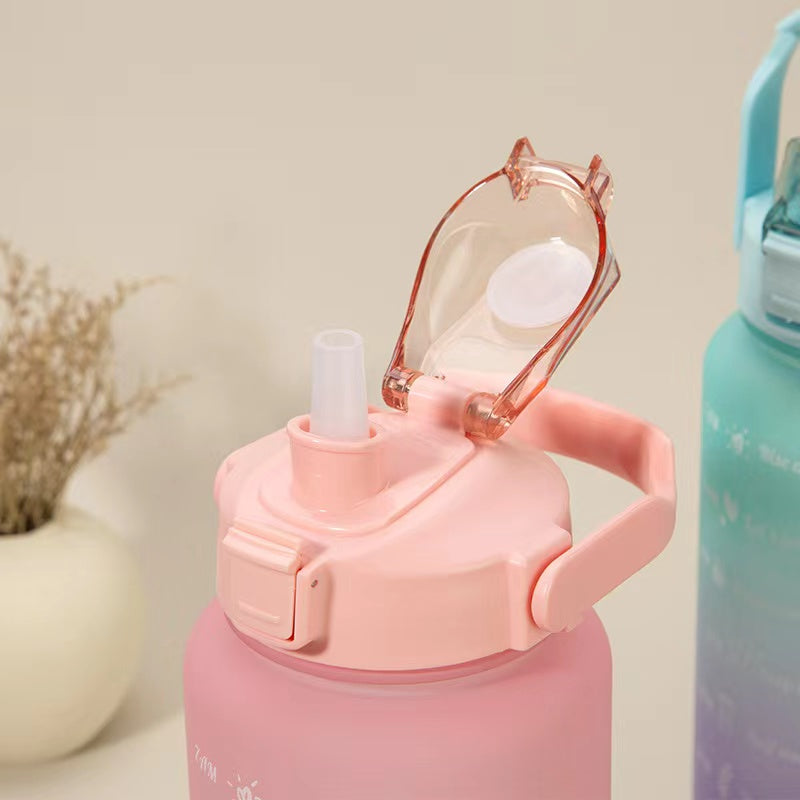 Select Your Favorite Gradient Water Bottle: Design – pinkpops.pk